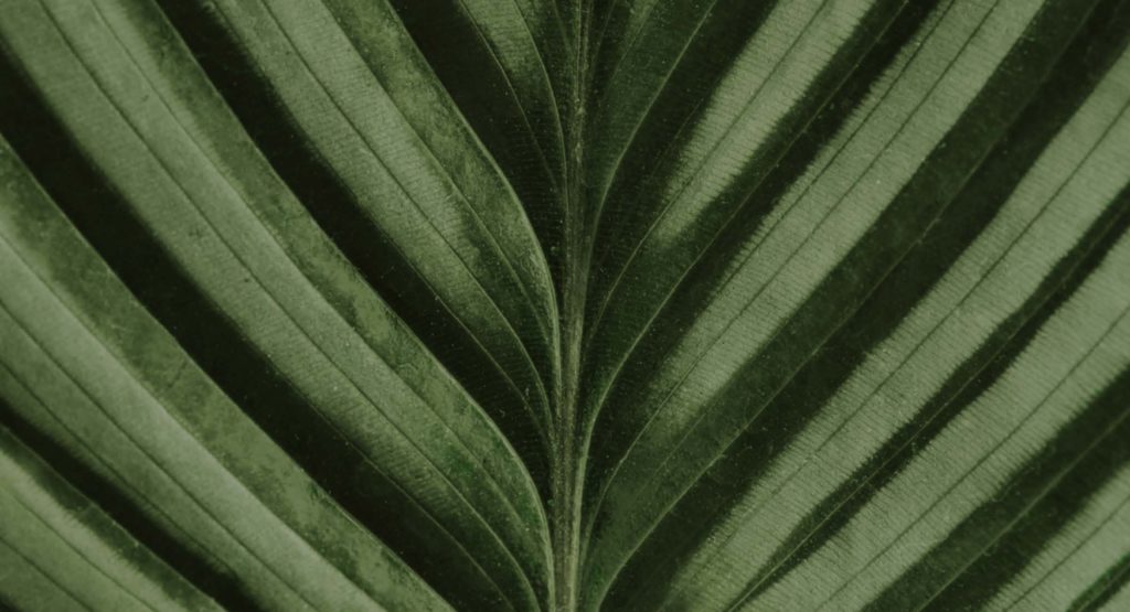 About Us – Reconnect – Family Services