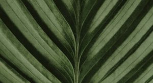 About Us – Reconnect – Family Services