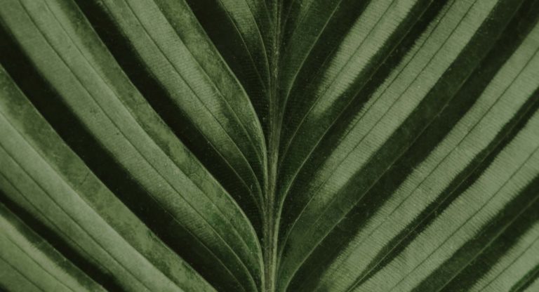 About Us – Reconnect – Family Services